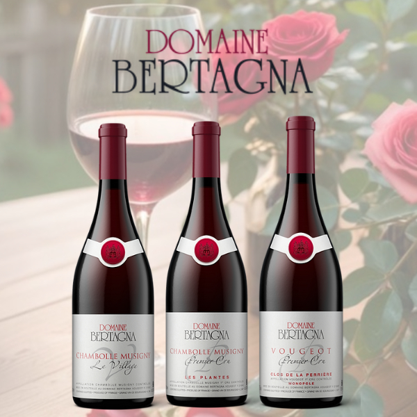 【JR 讚嘆迷你版愛侶園！Domaine Bertagna 最強花香系 Chambolle Musigny】