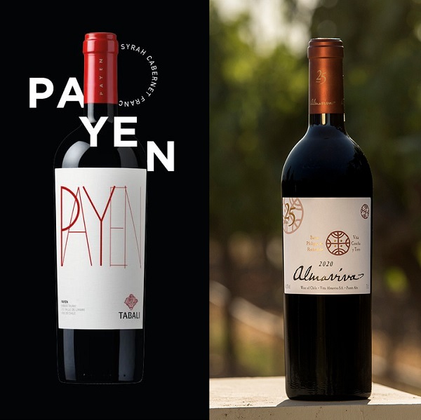 【智利國慶慶典套組 Almaviva + Tabali Payen $7,000】