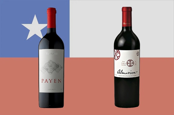 【智利國慶慶典套組 Almaviva + Tabali Payen $7,000】